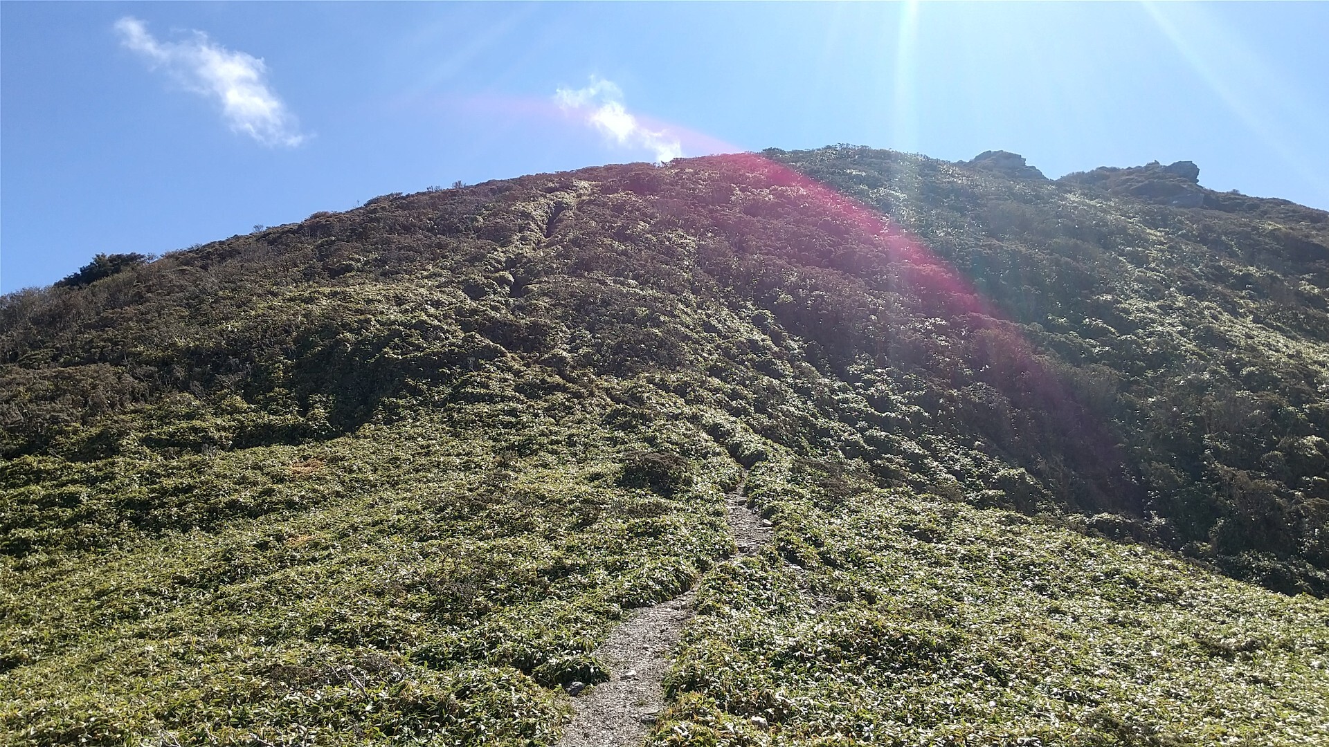 koiさんの投稿したフィールドメモ | YAMAP / ヤマップ