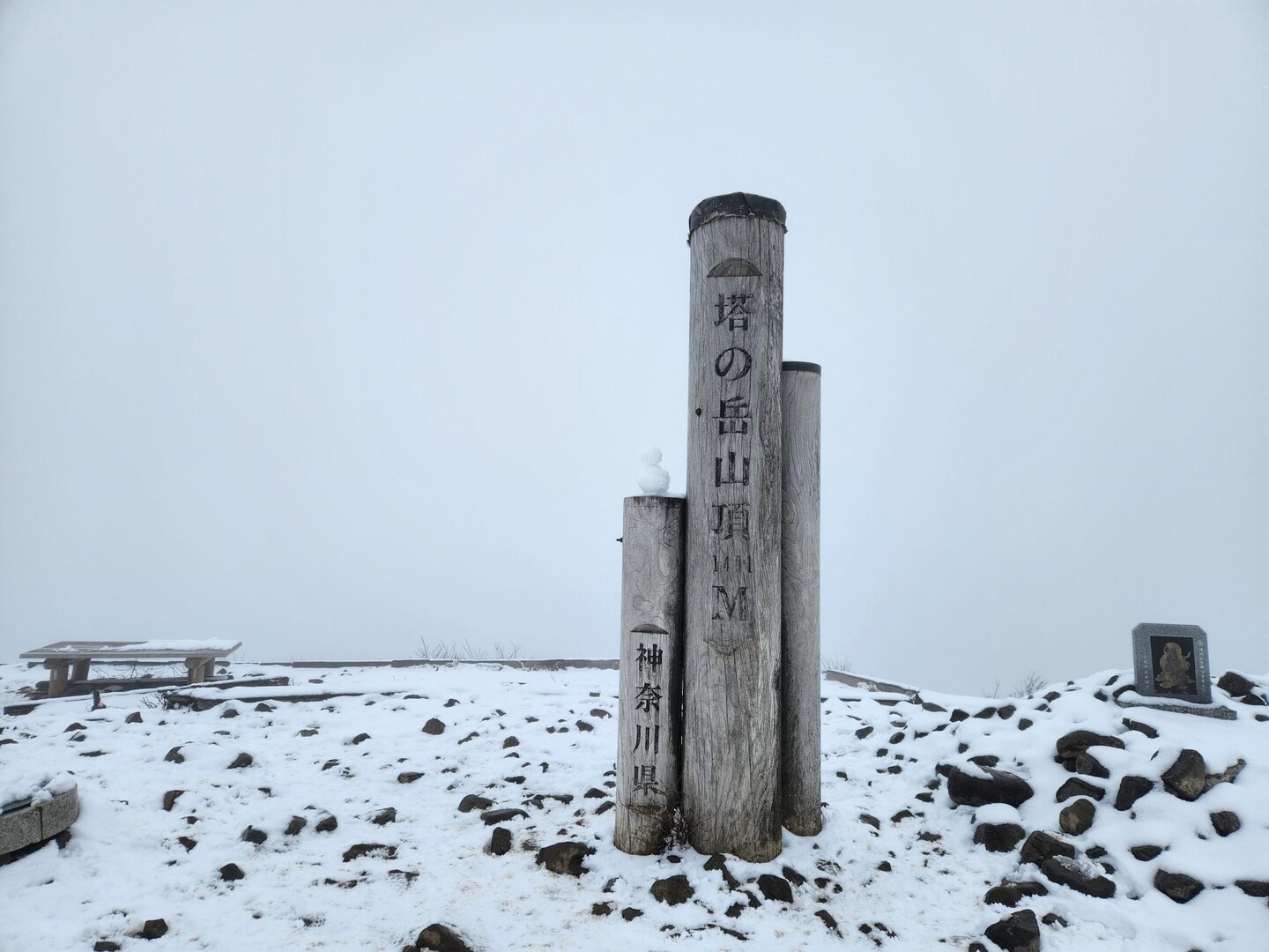塔ノ岳 / kawanobuさんの塔ノ岳・丹沢山・蛭ヶ岳の活動データ | YAMAP / ヤマップ