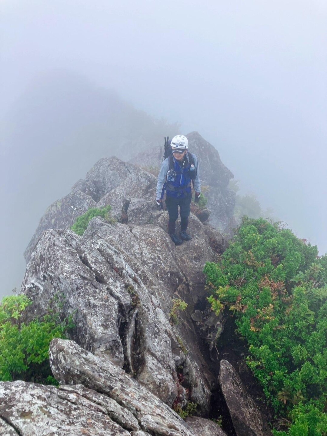 1）そういえば、先日“ゴジラの背“の時... / kazさんのモーメント | YAMAP / ヤマップ