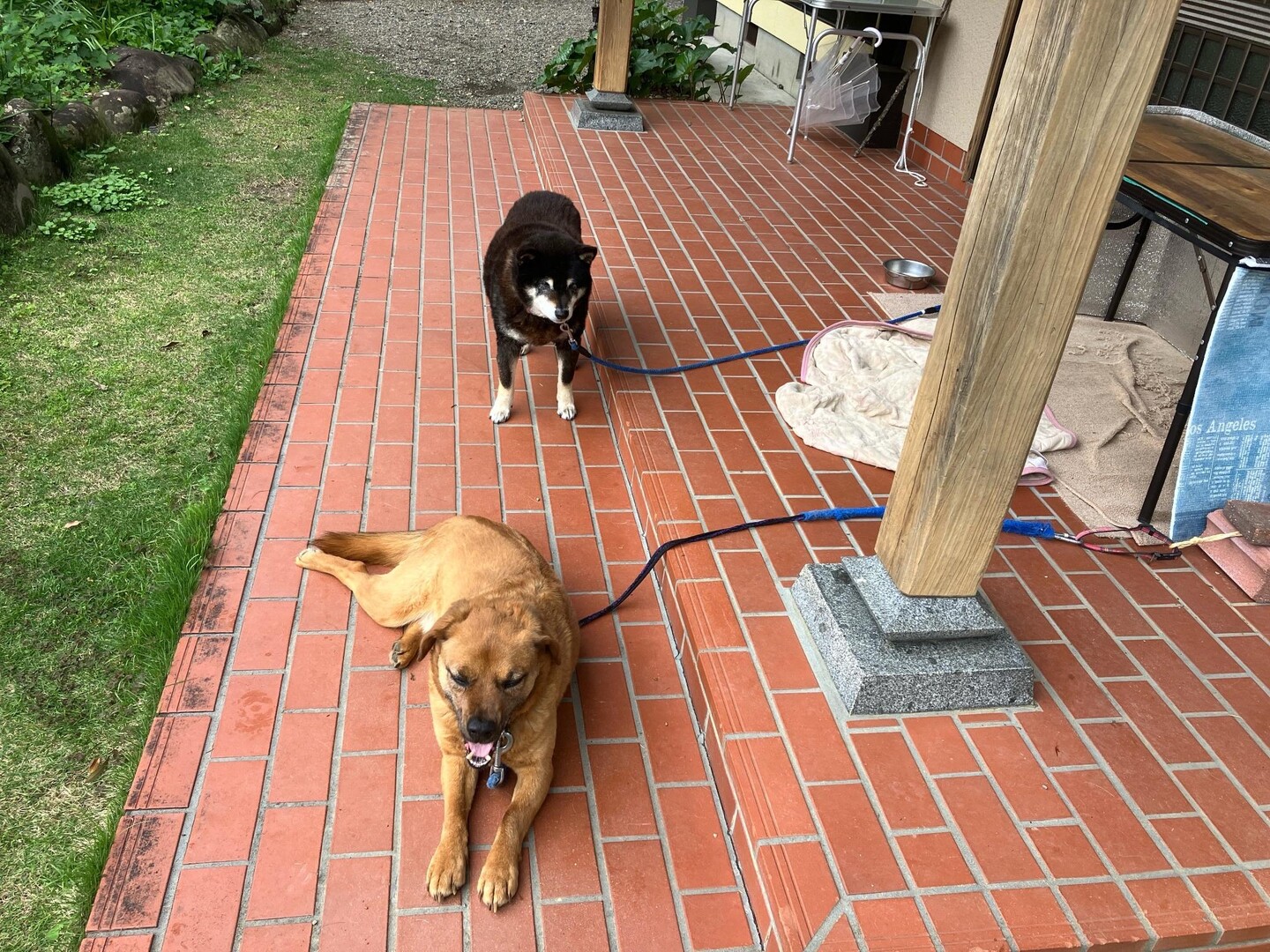 国見山 / Ko-Zさんの式部岳・掃部岳の活動データ | YAMAP / ヤマップ