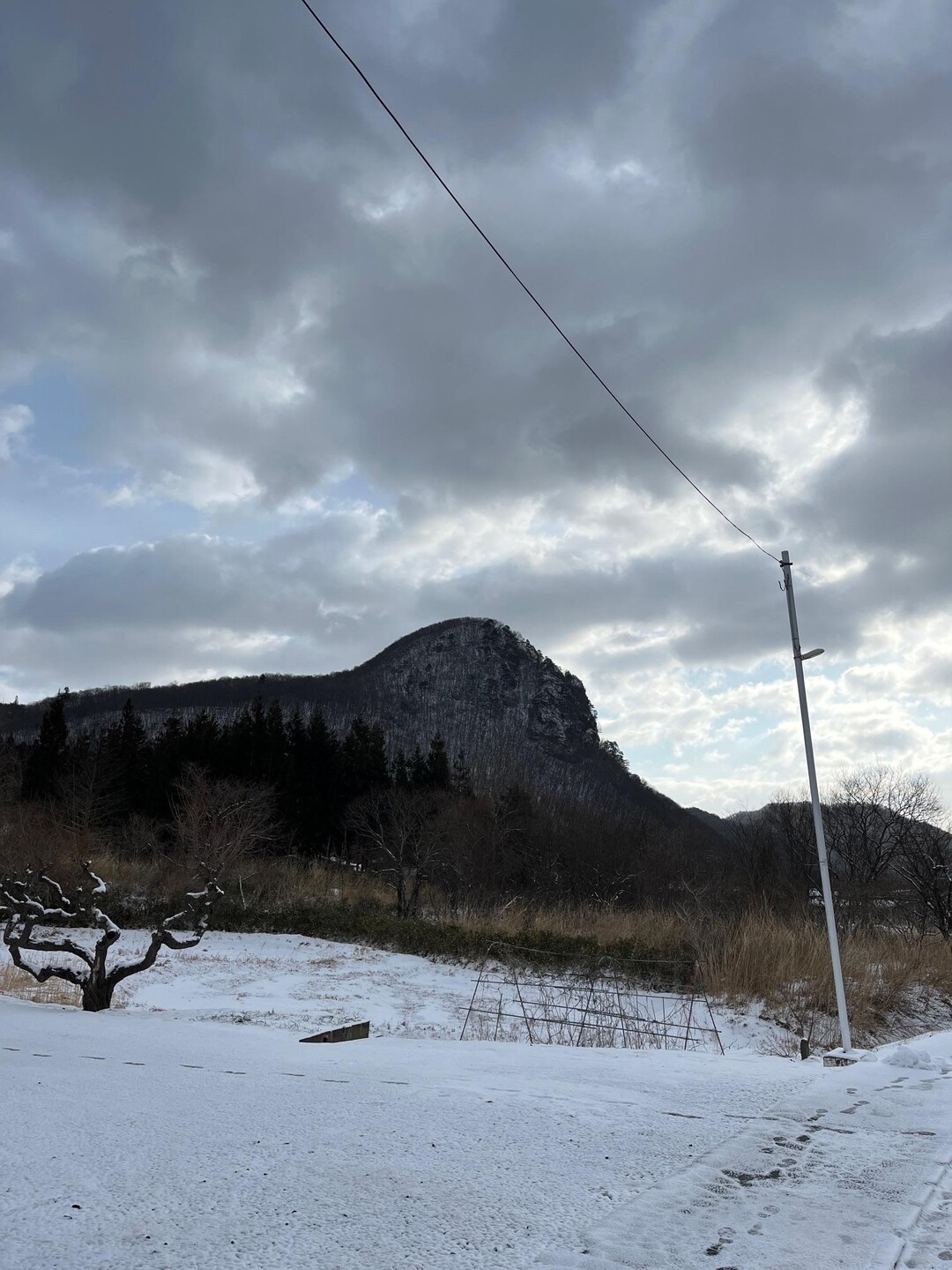 鎌倉山はやっぱりゴリラ山🦍でした / takehiko.Kさんの鎌倉山の活動データ | YAMAP / ヤマップ
