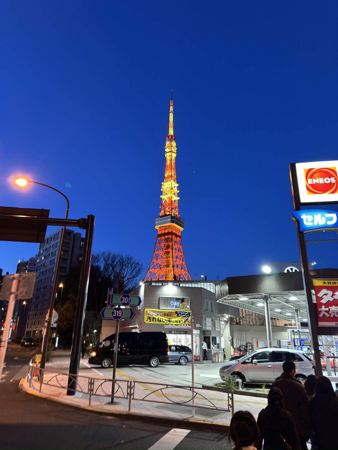 第2回TOKYO XTREME WALK 50KM / ESOLA3さんの東京都23区 中央エリアの活動データ | YAMAP / ヤマップ