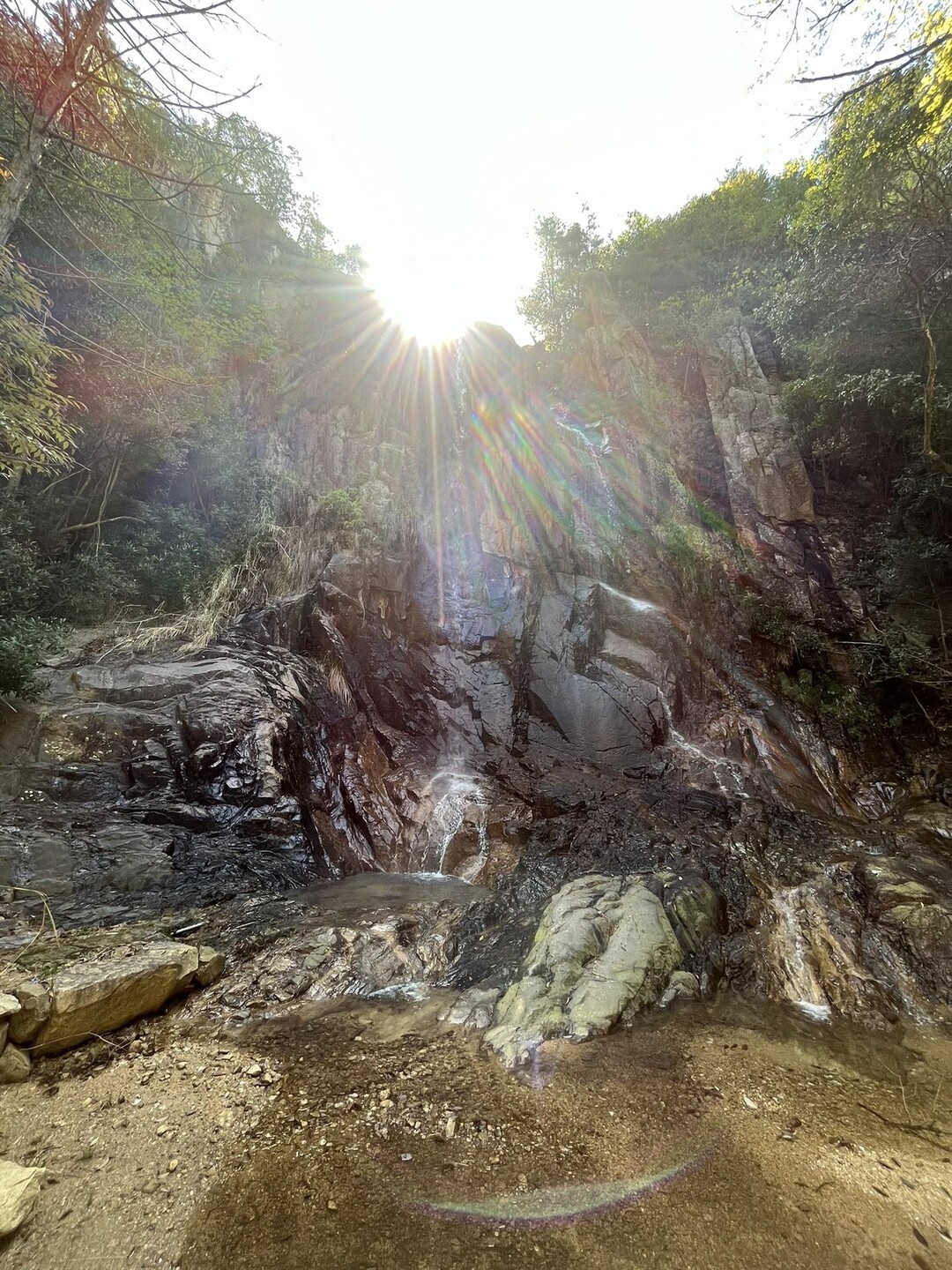 大三島散策 春旅3 / soraさんの鷲ヶ頭山・安神山の活動データ | YAMAP / ヤマップ