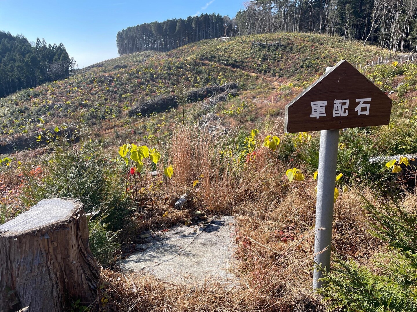 mihoさんの投稿したフィールドメモ | YAMAP / ヤマップ