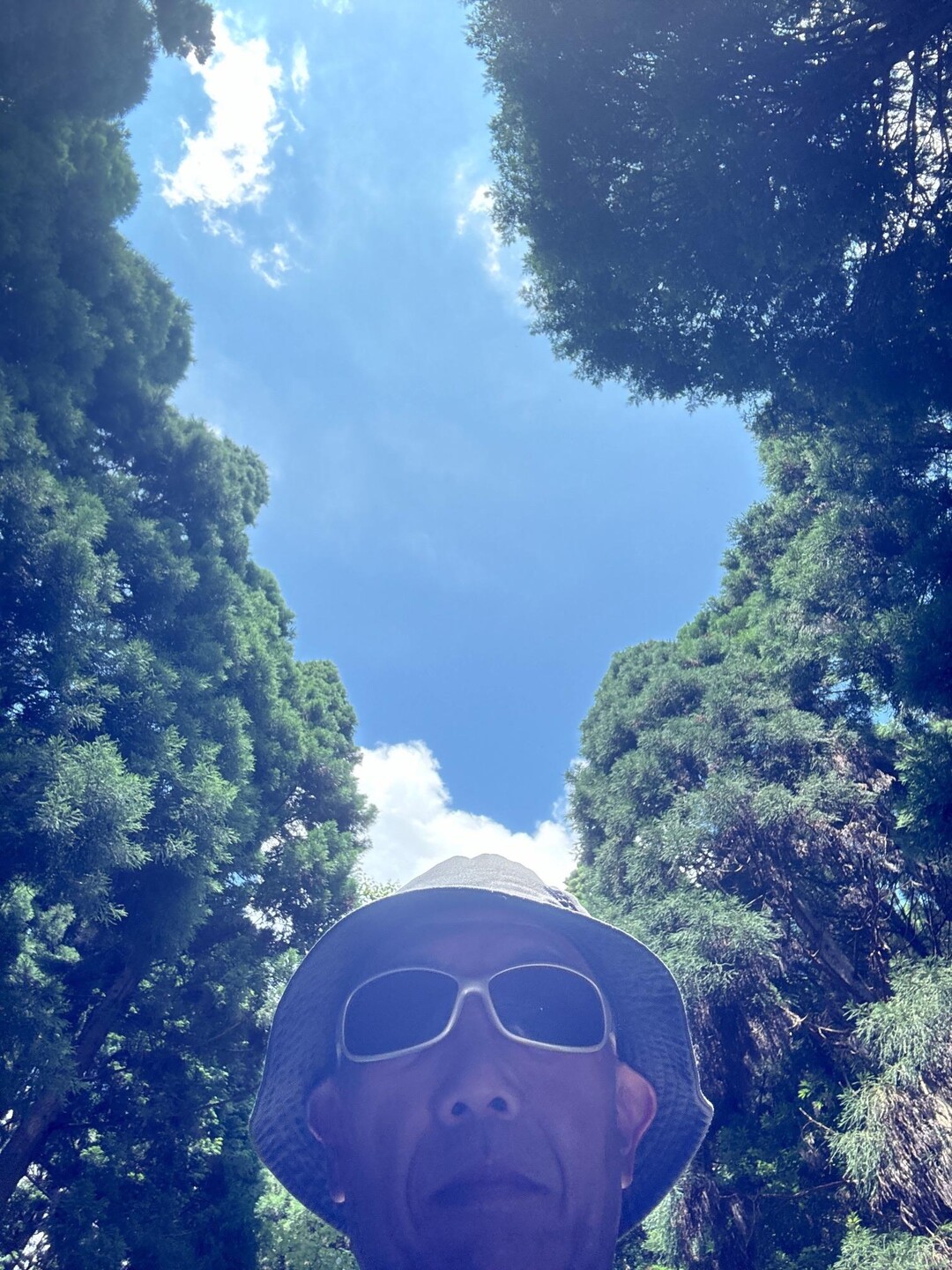 笠の丸・笠形山 仙人の滝コース / nori0125さんの笠形山（播磨富士）の活動データ | YAMAP / ヤマップ