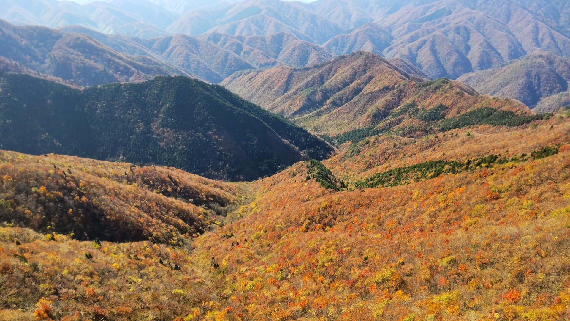 大神ヶ岳・赤谷山 / だいすけさんの大神ヶ岳・赤谷山の活動データ | YAMAP / ヤマップ