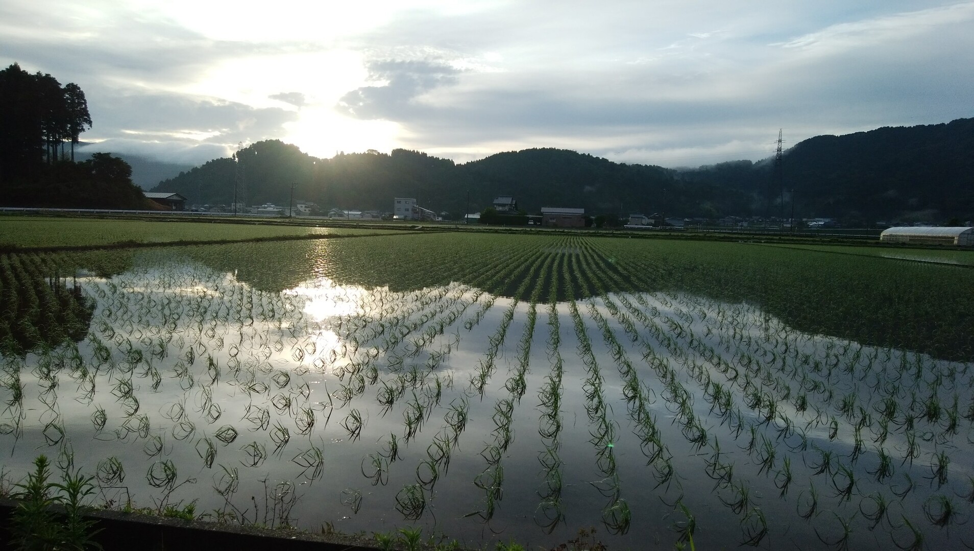 里山源流を歩く / opal糸さんのウォーキングの活動データ | YAMAP / ヤマップ