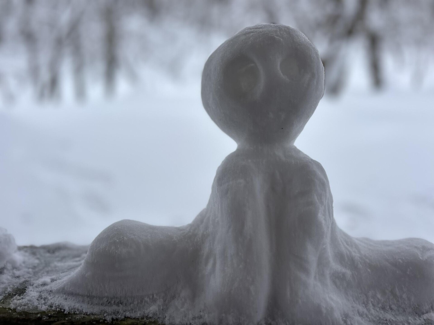 梵珠山⛄️ / Re:ゼロから始める山生活さんの梵珠山の活動データ | YAMAP / ヤマップ