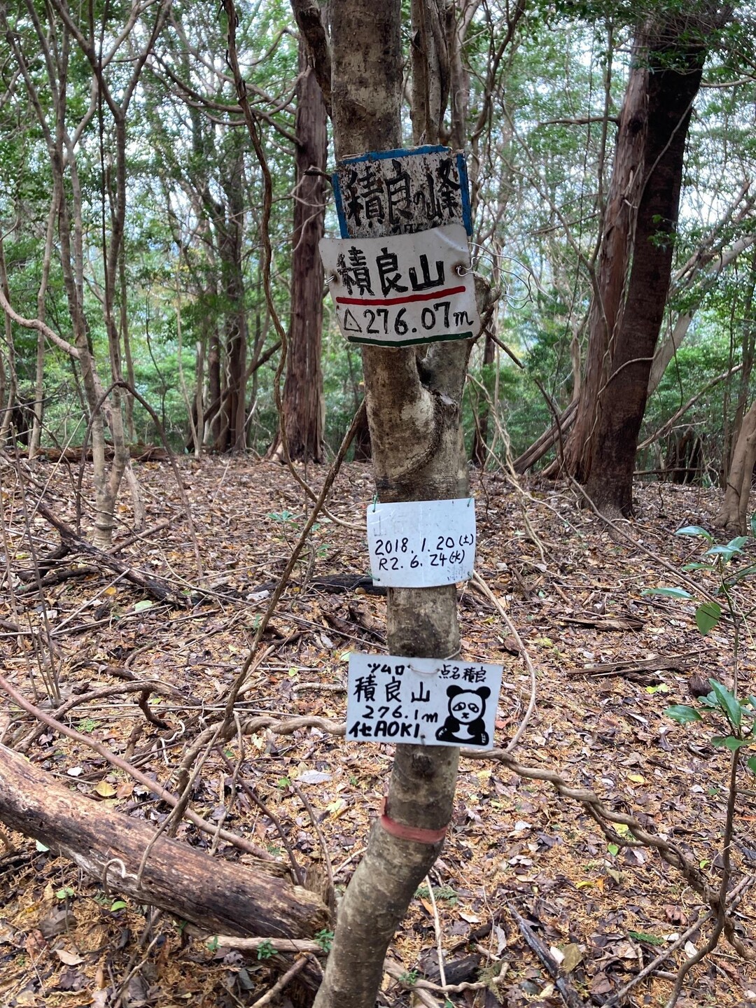 積良山・的山 / kaz330さんの国束山・大日山の活動データ | YAMAP / ヤマップ