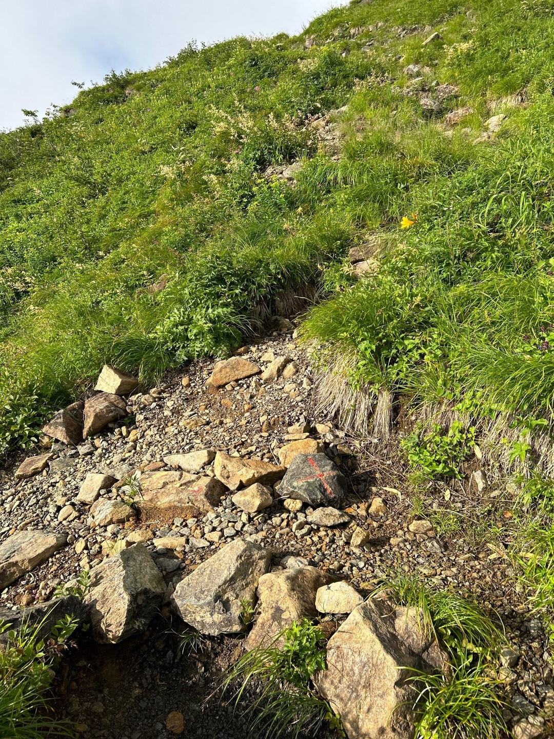 yjさんの投稿したフィールドメモ | YAMAP / ヤマップ