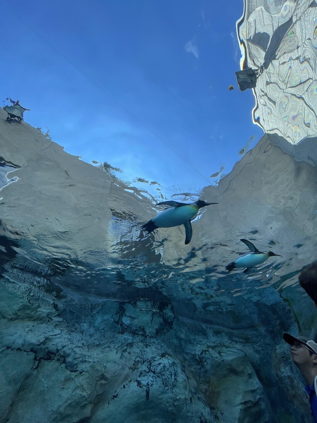 北海道暑い、その2 / shomin🍊さんのモーメント | YAMAP / ヤマップ