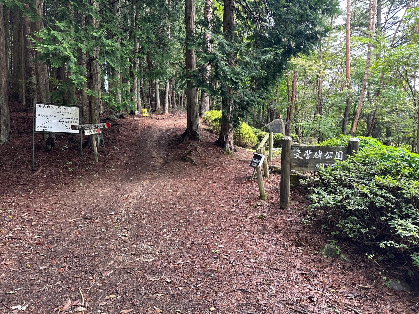 真彦さんの投稿したフィールドメモ | YAMAP / ヤマップ