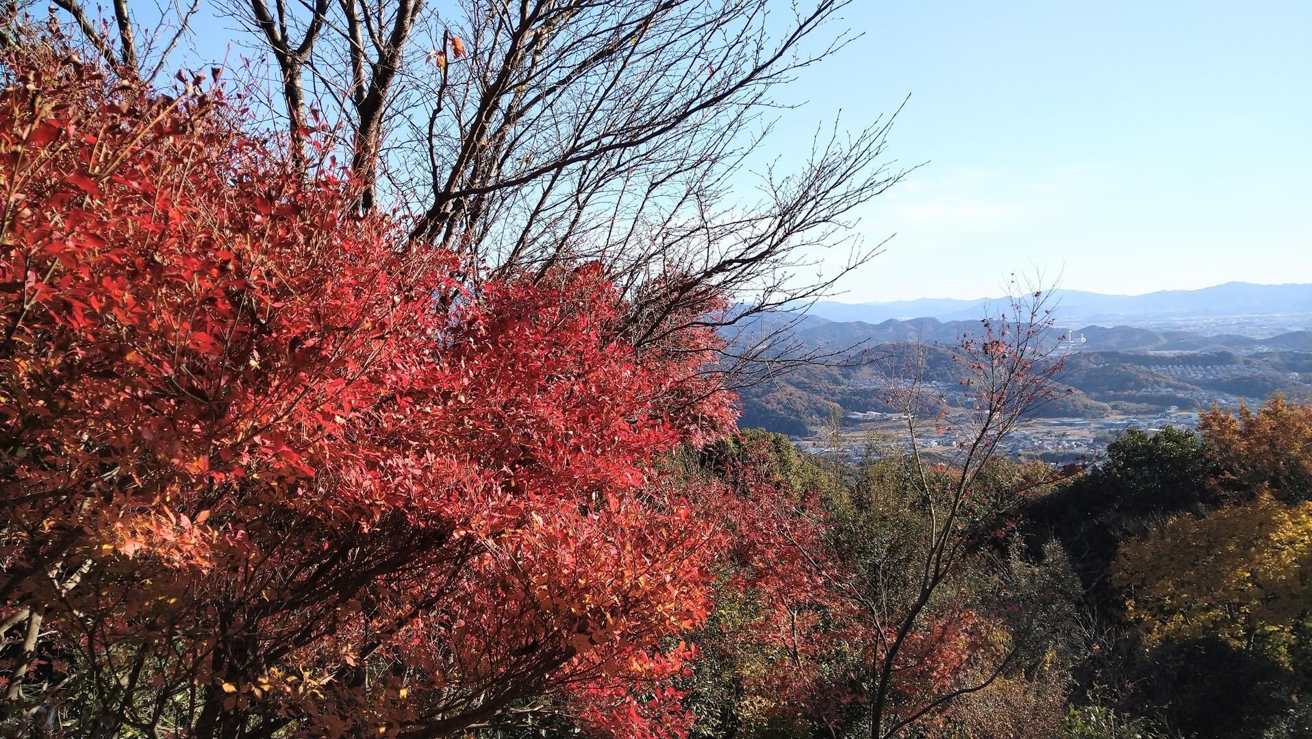 宮路山〜五井山 / TOMさんの五井山・宮路山・御堂山の活動データ | YAMAP / ヤマップ