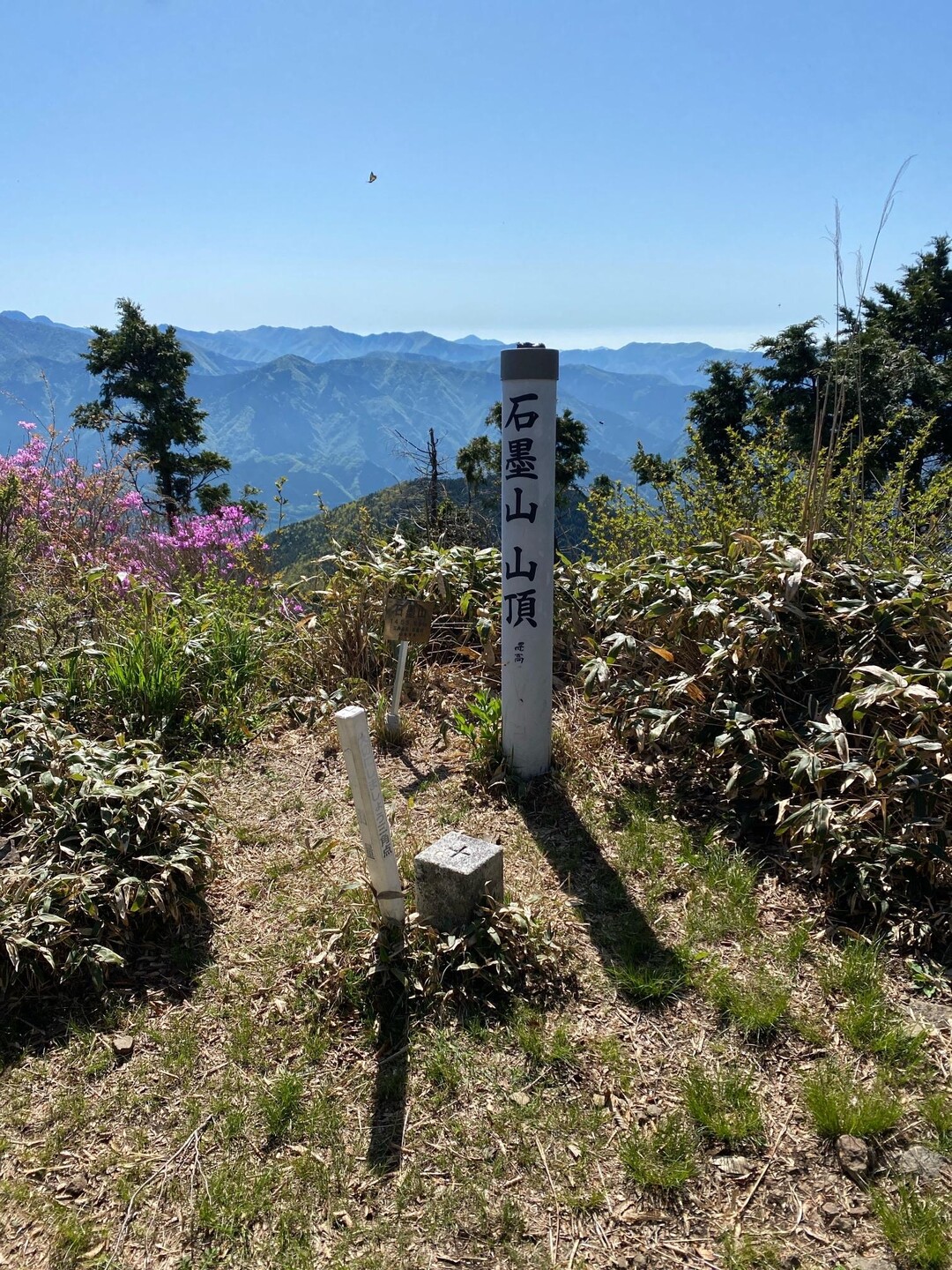 石墨山@東アコンプリート / ko_h5kwさんの皿ヶ嶺・梅ヶ谷山・うなめごの活動データ | YAMAP / ヤマップ