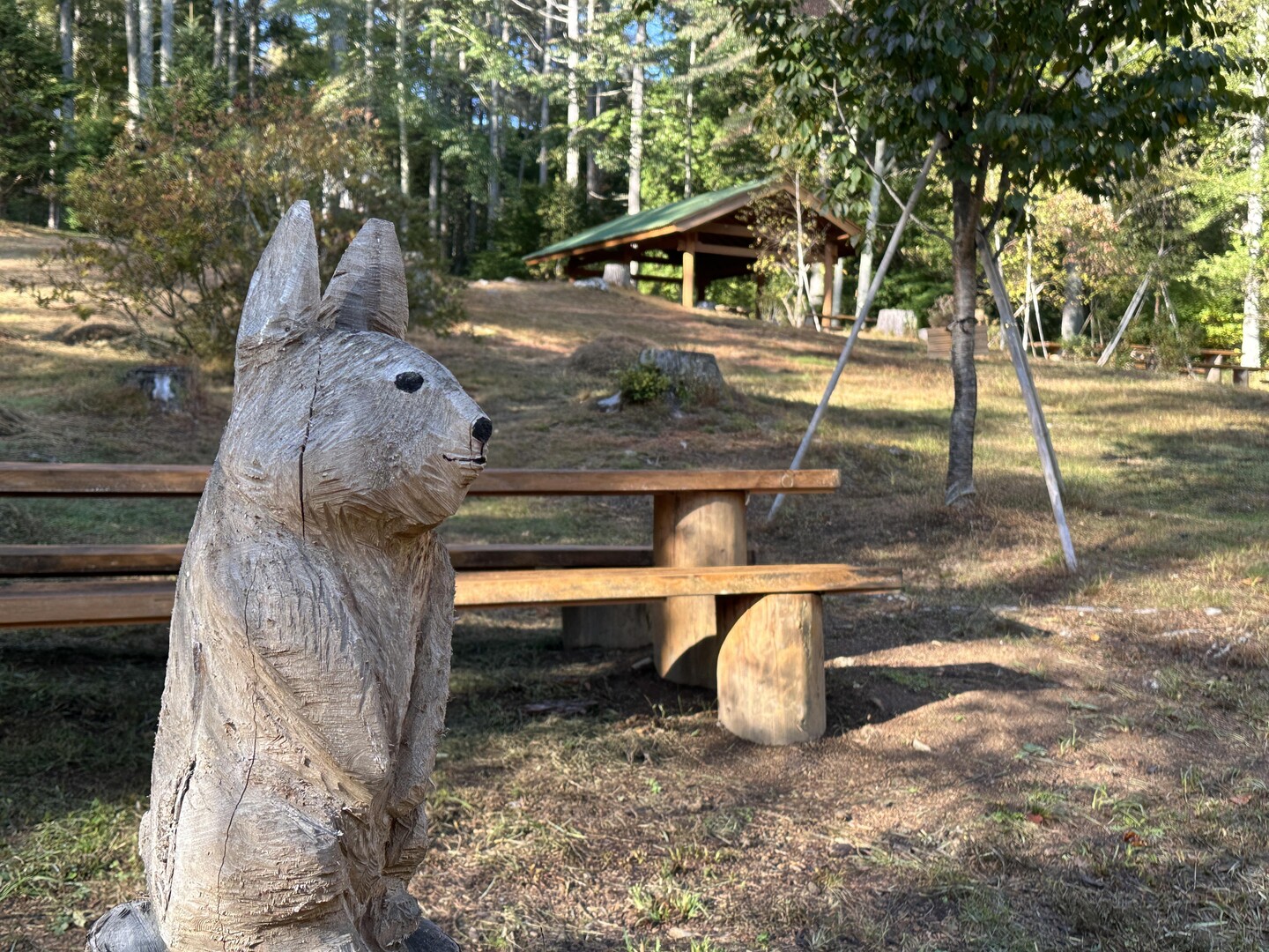 守屋山 歴史ロマンを感じながら / sentiさんの守屋山の活動データ | YAMAP / ヤマップ