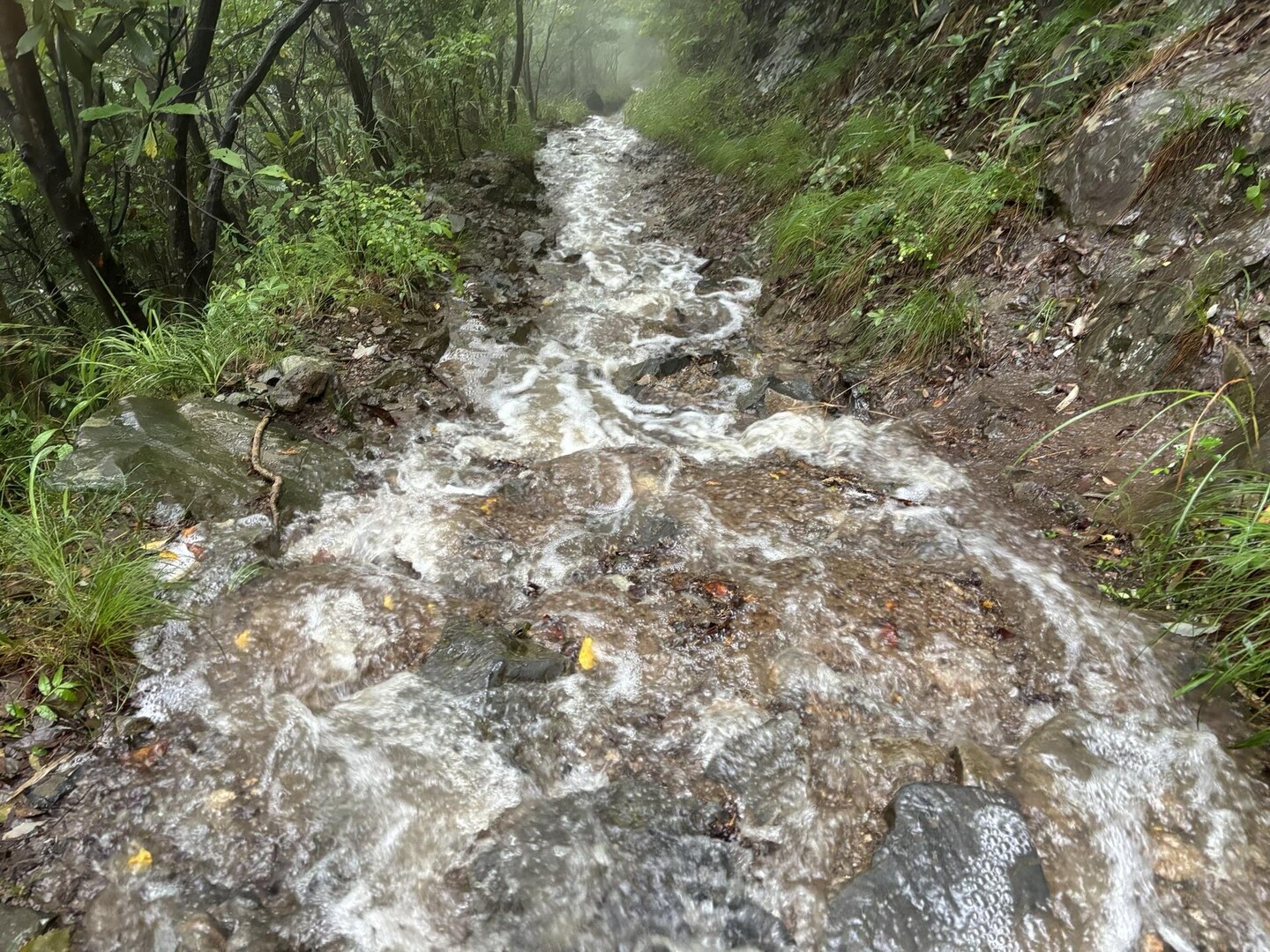 飯野山の沢 / muddy329さんの飯野山（讃岐富士）の活動データ | YAMAP / ヤマップ