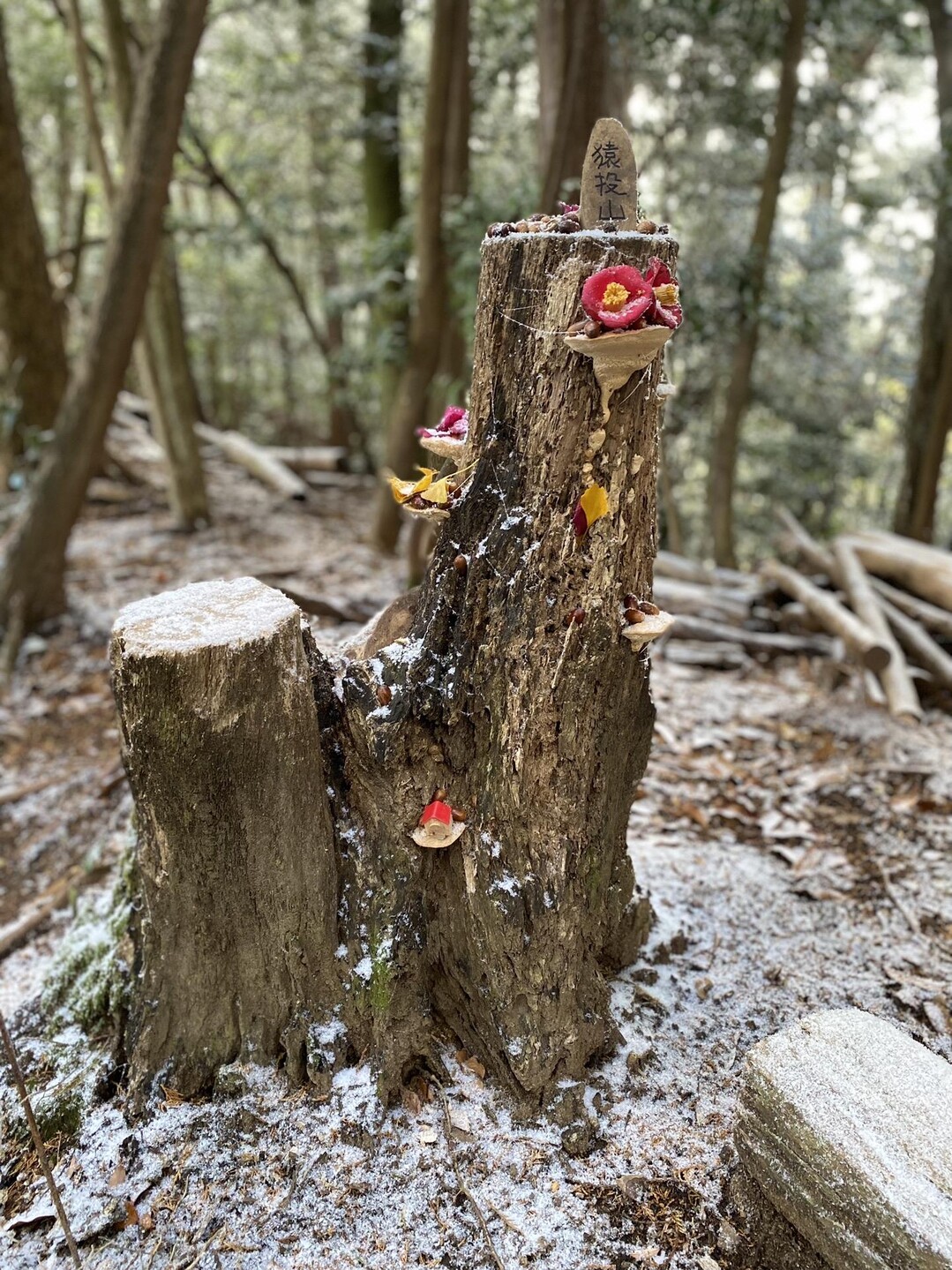 2023/Mt.S anage/71 雪... / hitoさんのモーメント | YAMAP / ヤマップ