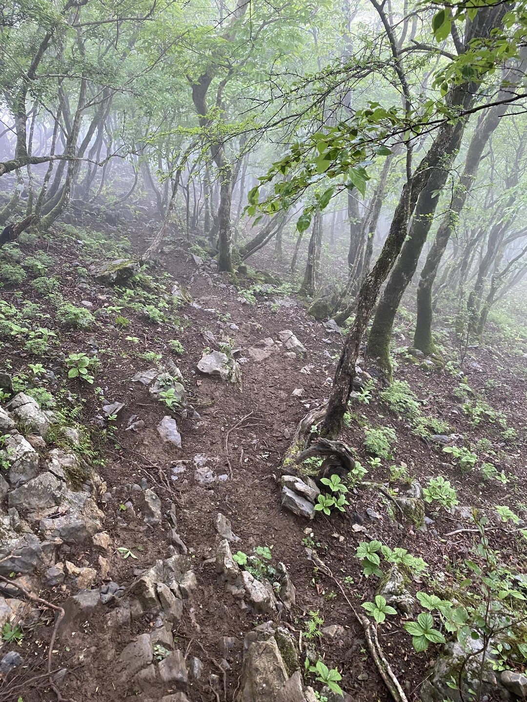 Gentil15さんの投稿したフィールドメモ | YAMAP / ヤマップ