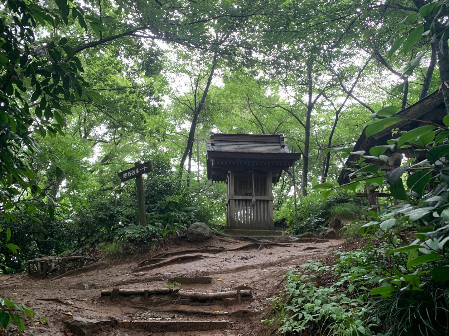 今週も山走人🔰（1MJ） / JOG太郎さんの文殊山の活動データ | YAMAP / ヤマップ