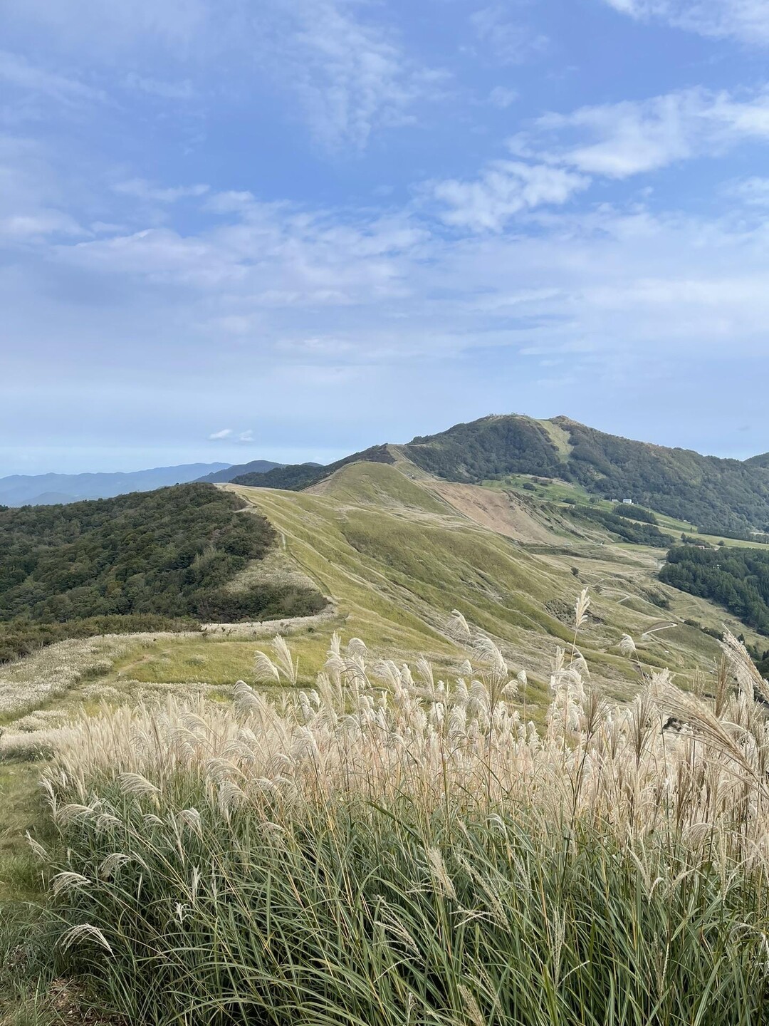 オンナゴコロトアキノソラ。 氷ノ山・鉢伏山 / mojaさんの氷ノ山（須賀ノ山）・鉢伏山・瀞川山の活動データ | YAMAP / ヤマップ
