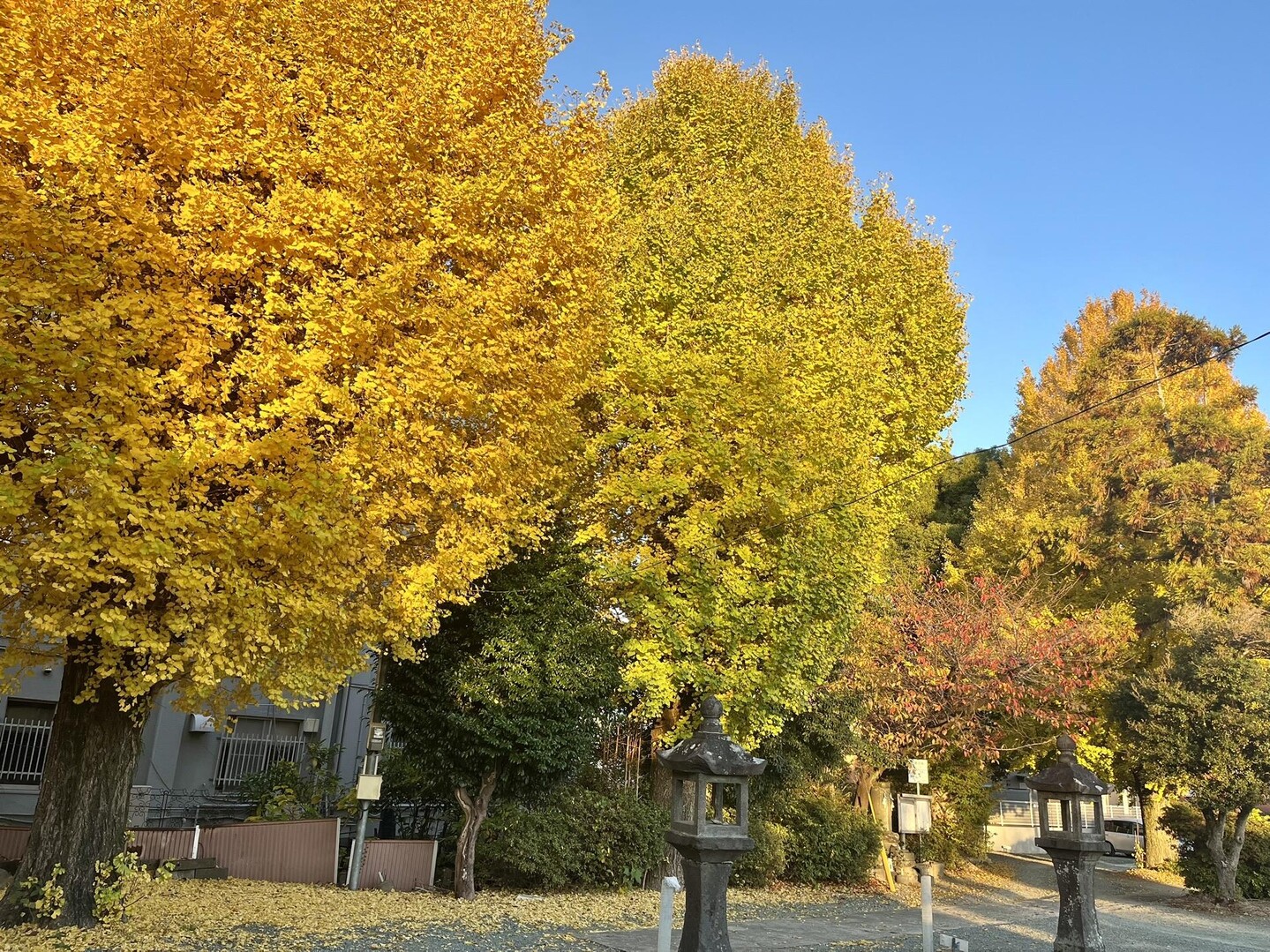 ランついでに山行っちゃった🤪【高良山】 / pu_kaoさんの高良山・発心山・鷹取山の活動データ | YAMAP / ヤマップ