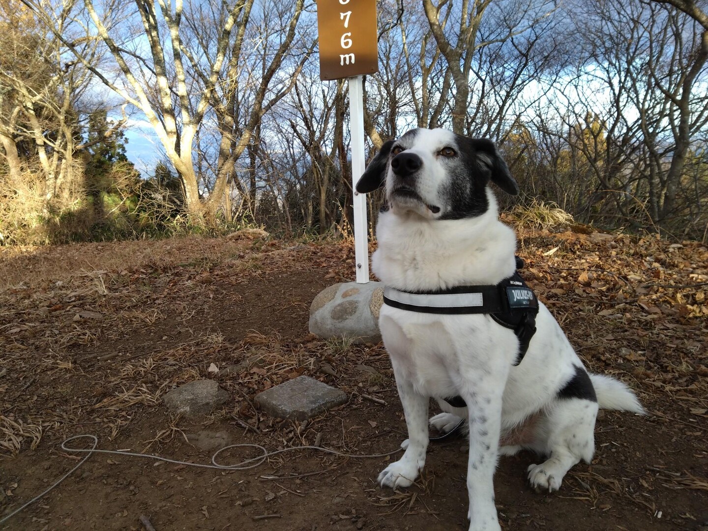 宇津峰・西音森山 / kuru−ruさんの宇津峰山（宇津峰）の活動データ | YAMAP / ヤマップ