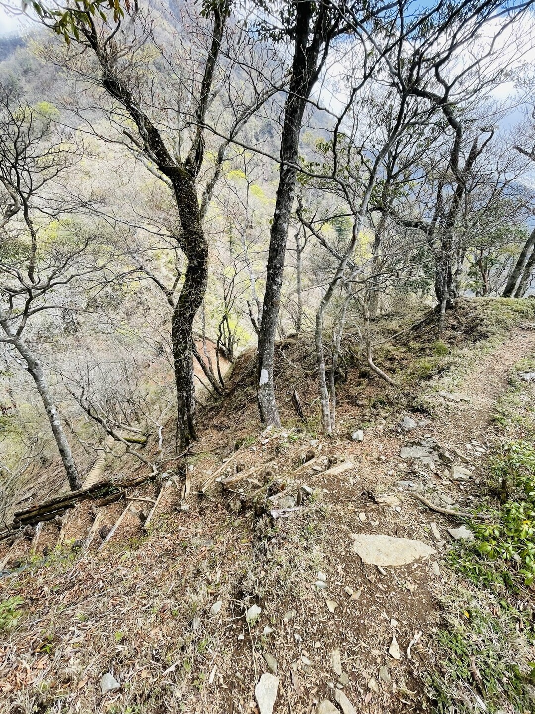 otouさんの投稿したフィールドメモ | YAMAP / ヤマップ