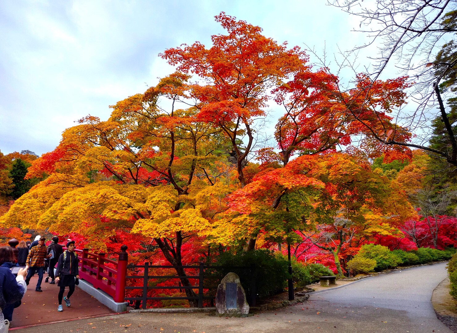 今日午後から天気が崩れるとのことで、先日... / hiroponさんのモーメント | YAMAP / ヤマップ