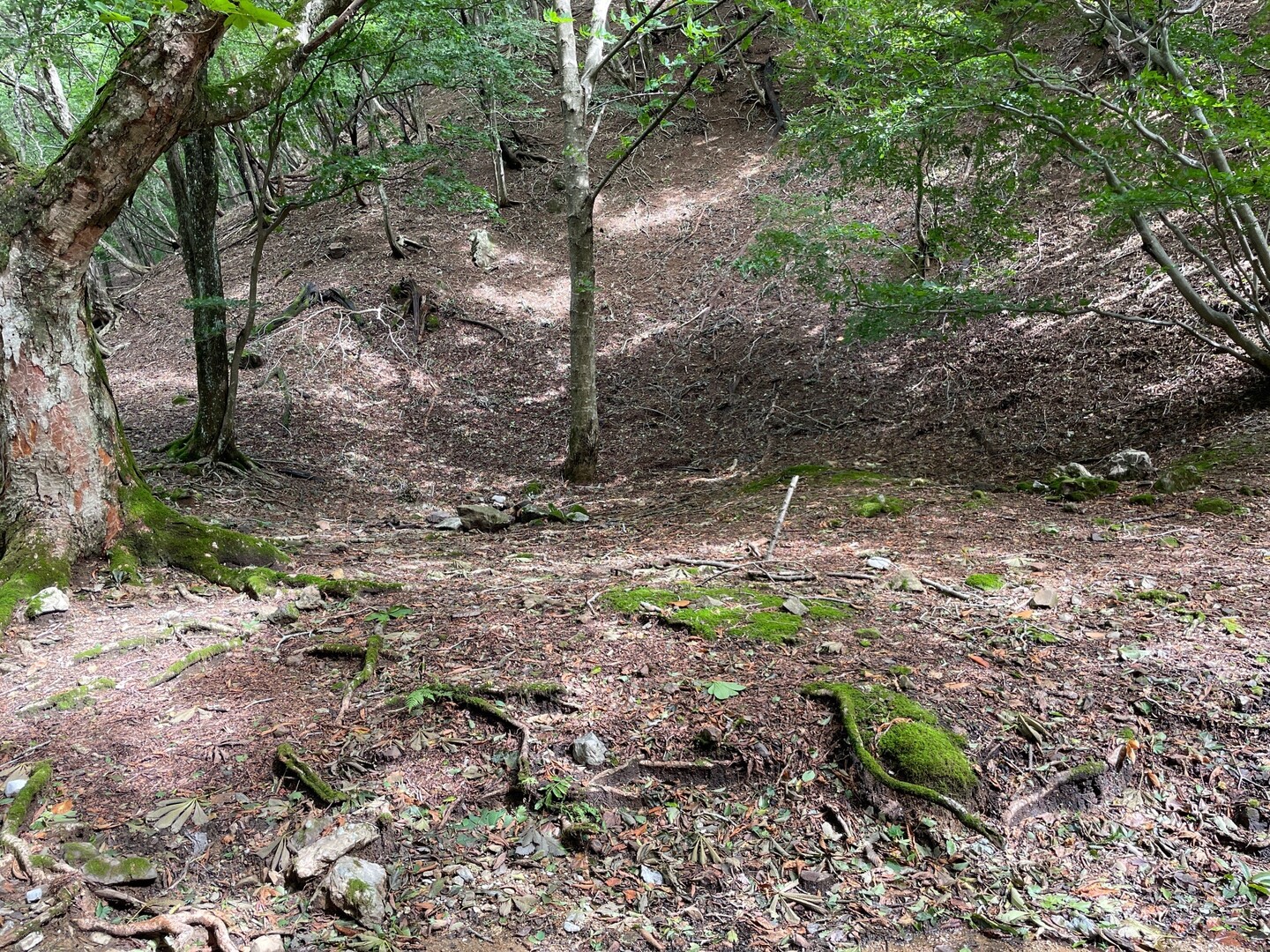 podoryさんの投稿したフィールドメモ | YAMAP / ヤマップ