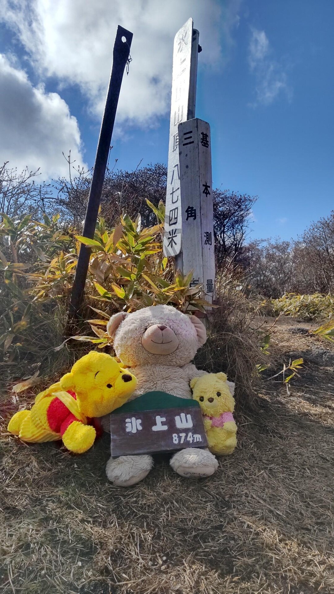 鉄塔山・氷上山 / Fuu〜(*￣(ｴ)￣*)さんの氷上山の活動データ | YAMAP / ヤマップ