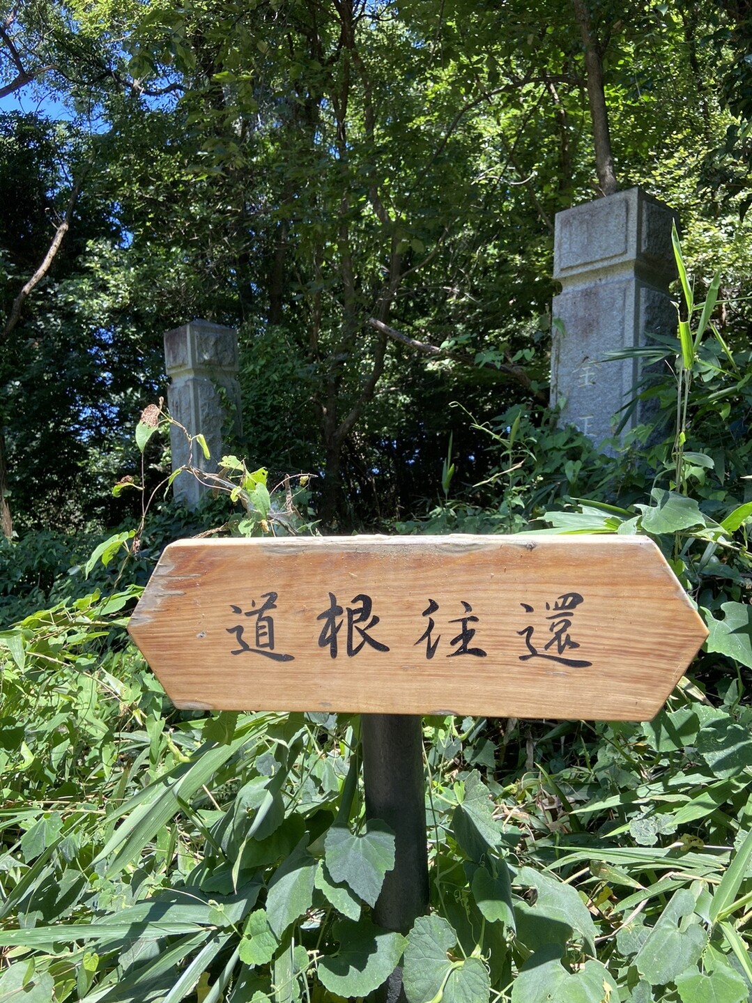 道根往還 / Ima3さんのランニングの活動データ | YAMAP / ヤマップ