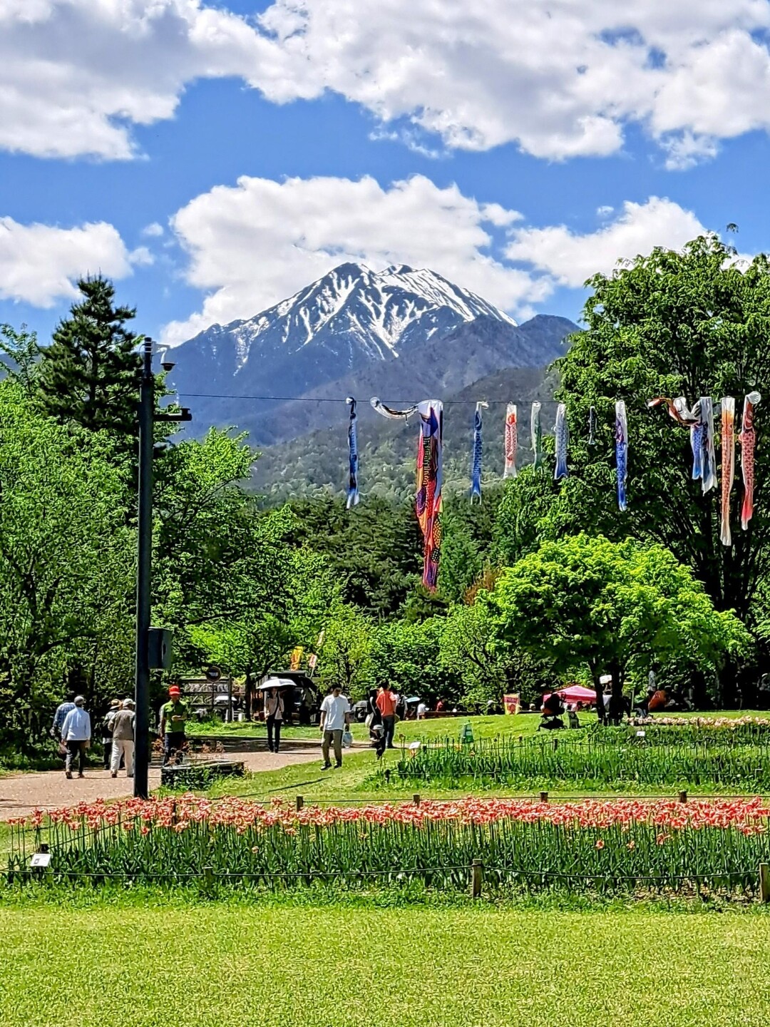 天然水のCMみたいな安曇野 / おかおさんのウォーキングの活動データ | YAMAP / ヤマップ