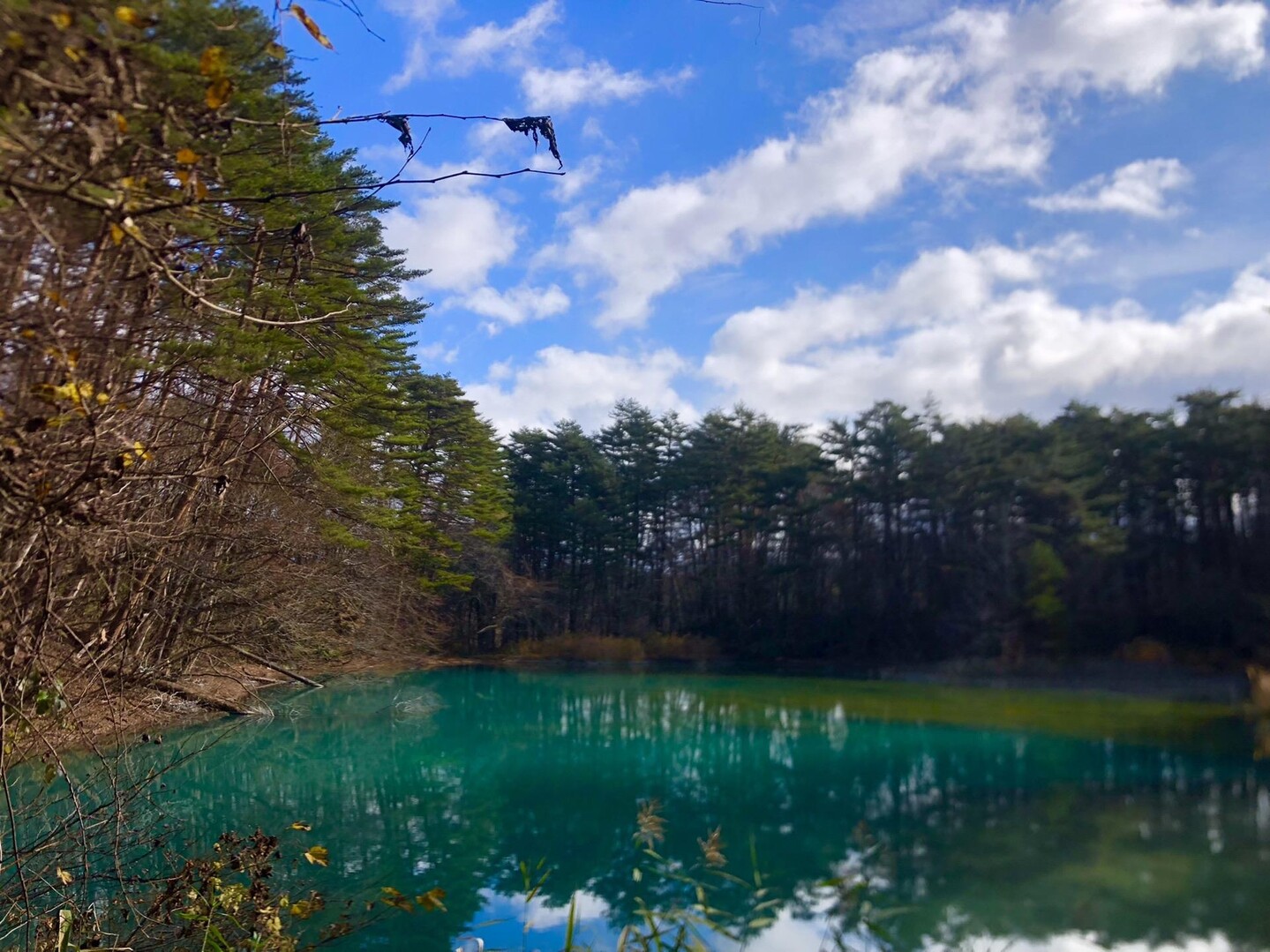五色沼湖沼群 / Naluさんの磐梯山・雄国山・赤埴山の活動データ | YAMAP / ヤマップ