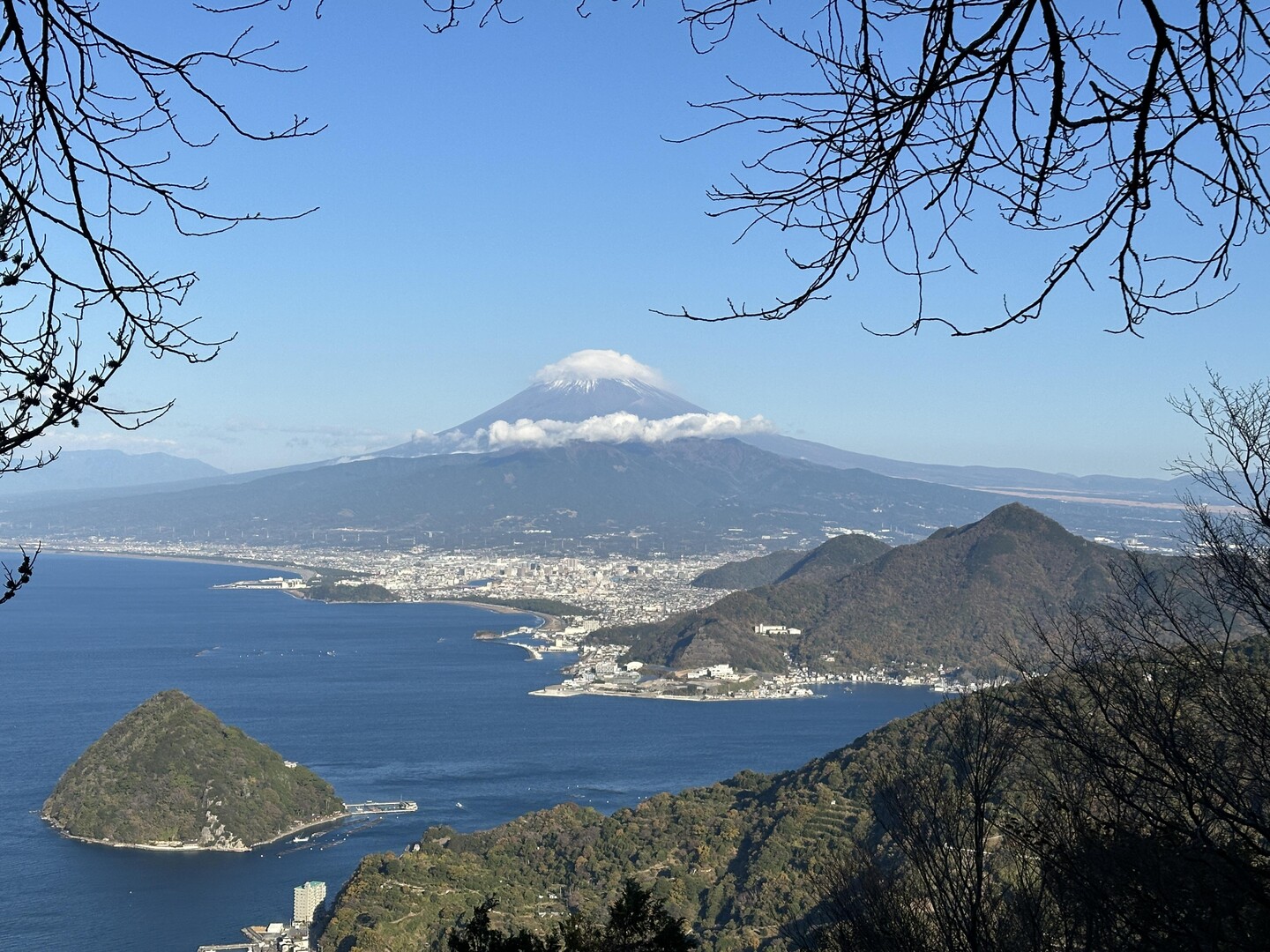 伊豆三山 / sentiさんの金冠山・達磨山・葛城山の活動日記 | YAMAP / ヤマップ