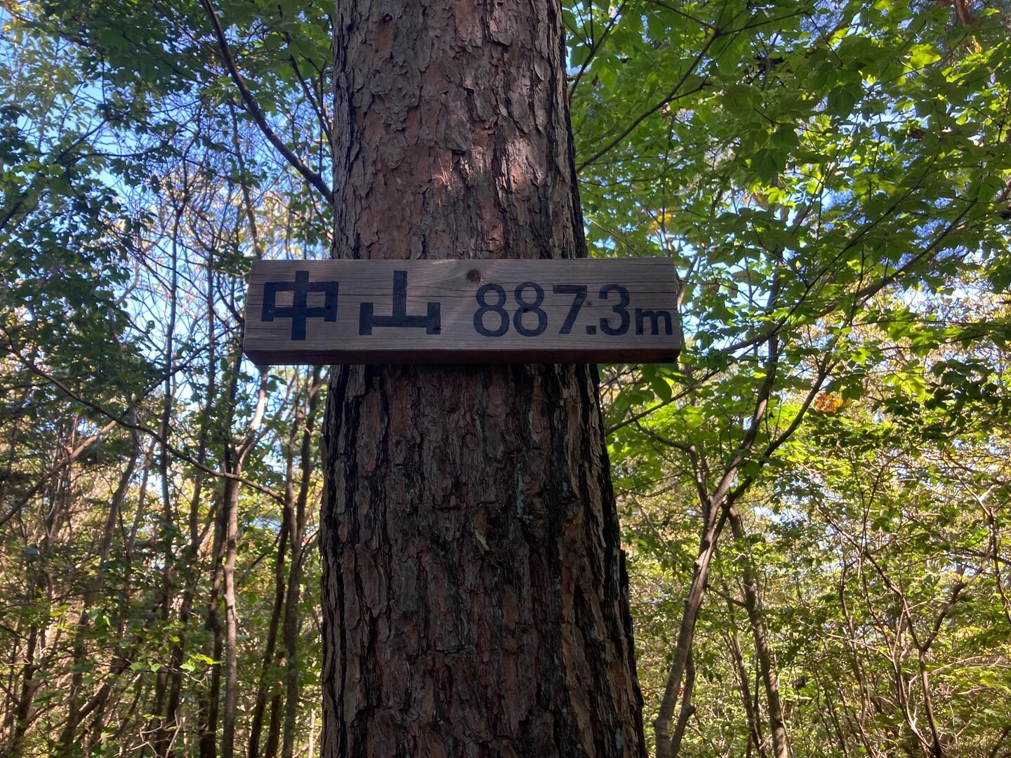 中山 / mini98Dさんの中山・中山砦の活動データ | YAMAP / ヤマップ