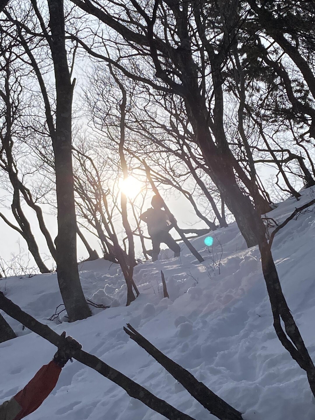 ヤケ山・タンヤマノ頭・ヤケオ山 / BIG Eさんの比良山地・武奈ヶ岳・釈迦岳の活動データ | YAMAP / ヤマップ