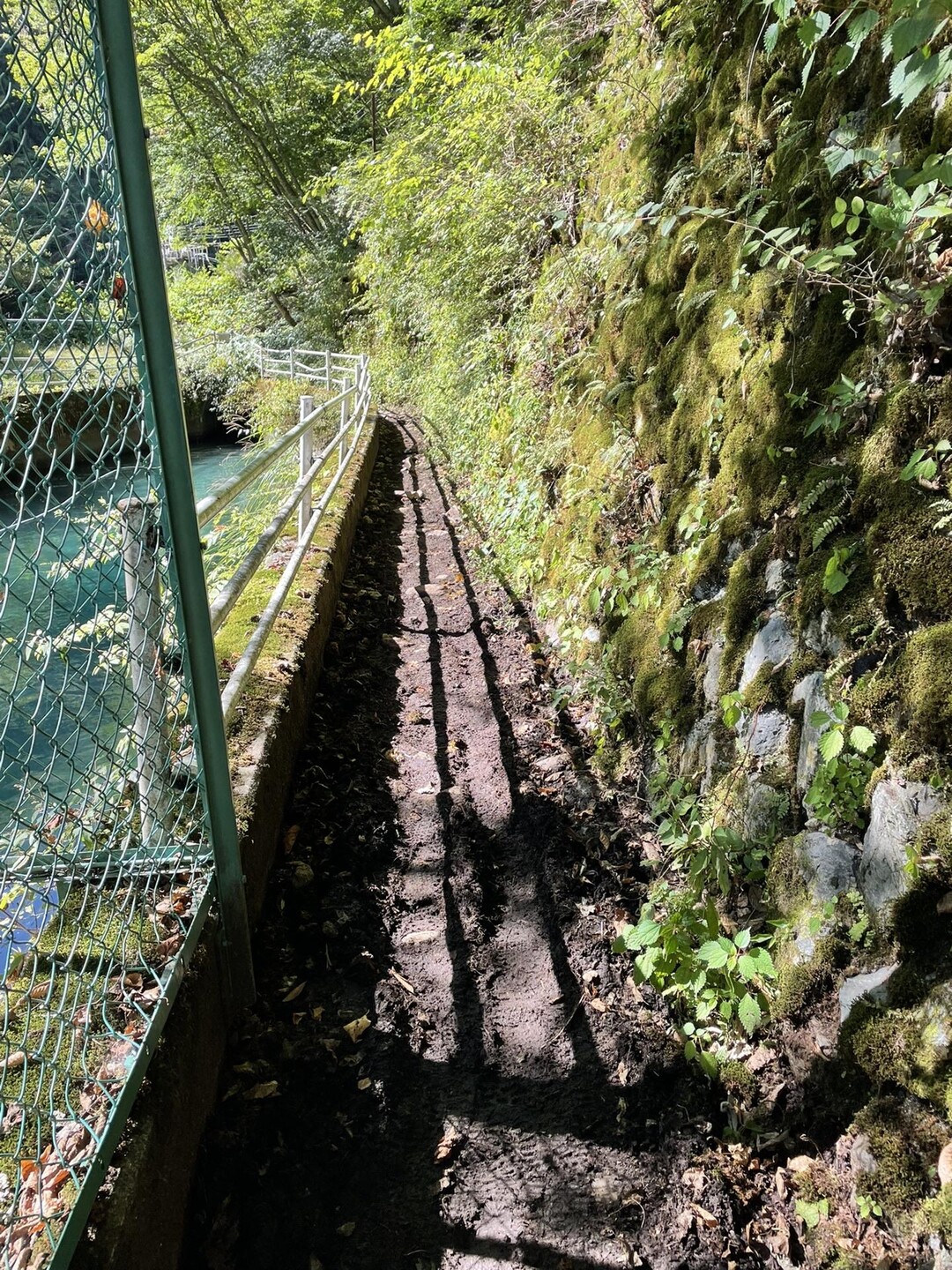 nkakさんの投稿したフィールドメモ | YAMAP / ヤマップ