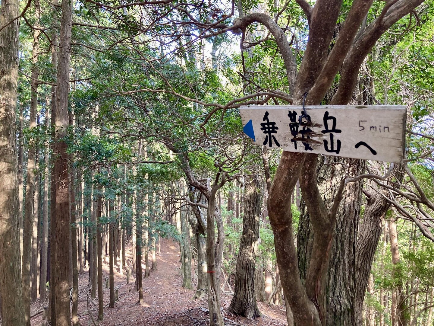 乗鞍岳・大日岳 in NARA / Mariさんの天狗倉山・高城山・乗鞍岳の活動データ | YAMAP / ヤマップ
