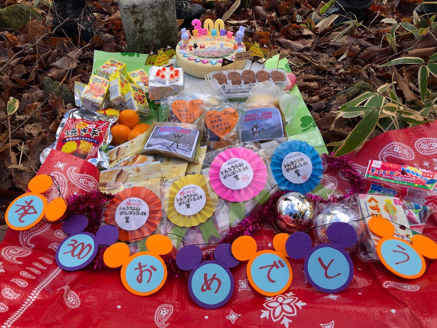 岩知志山・三鞍山・江無須志山 / katuraさんの平取町の活動データ | YAMAP / ヤマップ