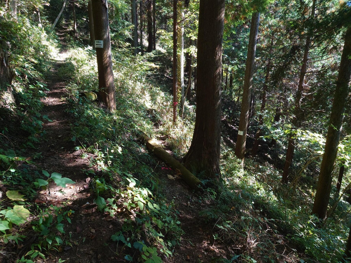 Kai.yさんの投稿したフィールドメモ | YAMAP / ヤマップ