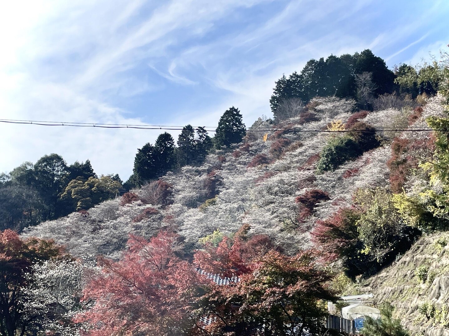 ウォーキング-2022-11-19 / blackmanさんのウォーキングの活動データ | YAMAP / ヤマップ