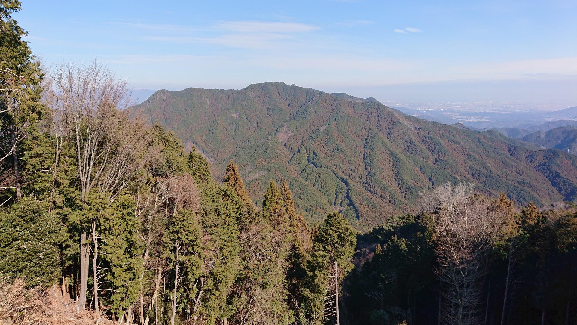 矢頭山・髯山 via 矢頭山登山口 御峯道 清水峠 / キャップさんの矢頭山の活動データ | YAMAP / ヤマップ
