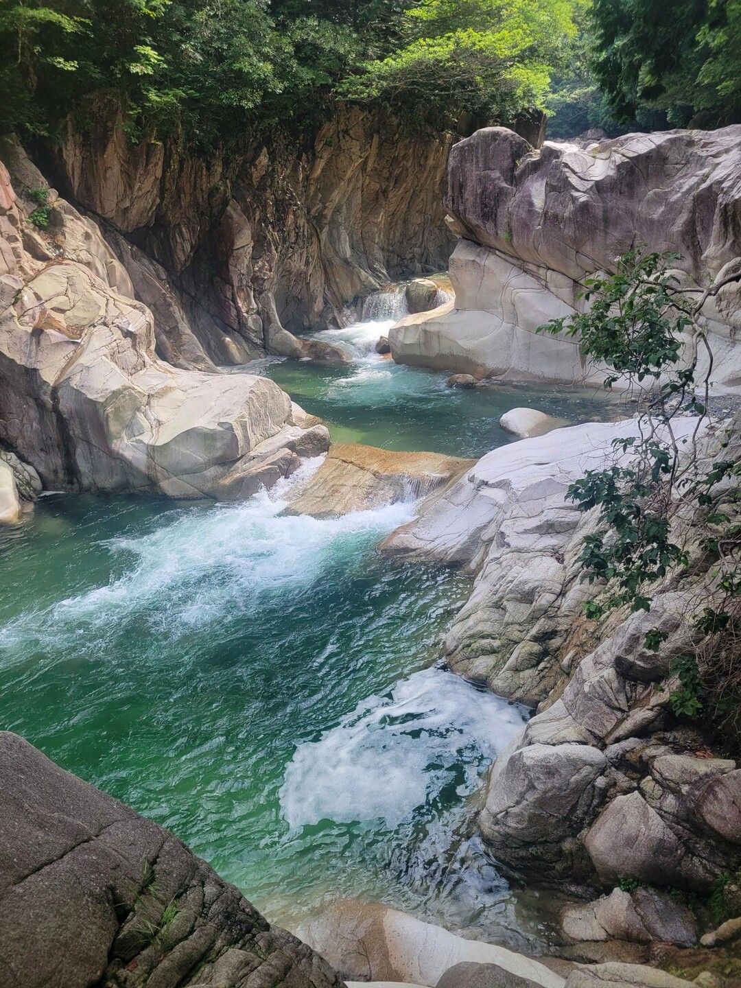 赤坂谷～ツメカリ谷 / SHI---さんの釈迦ヶ岳の活動データ | YAMAP / ヤマップ