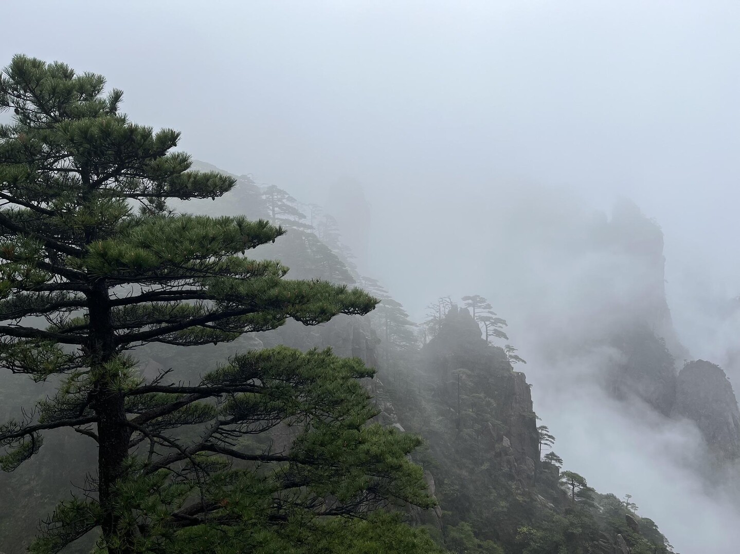 黄山 中国安徽省黄山市 / Kenさんの登山の活動日記 | YAMAP / ヤマップ