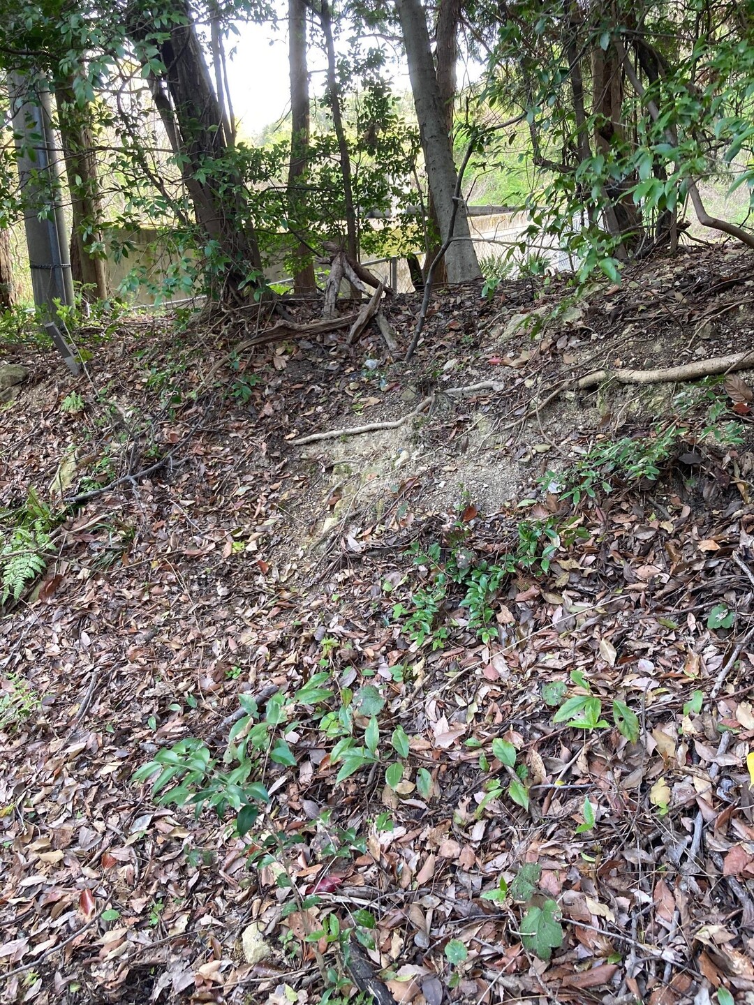 west 7さんの投稿したフィールドメモ | YAMAP / ヤマップ