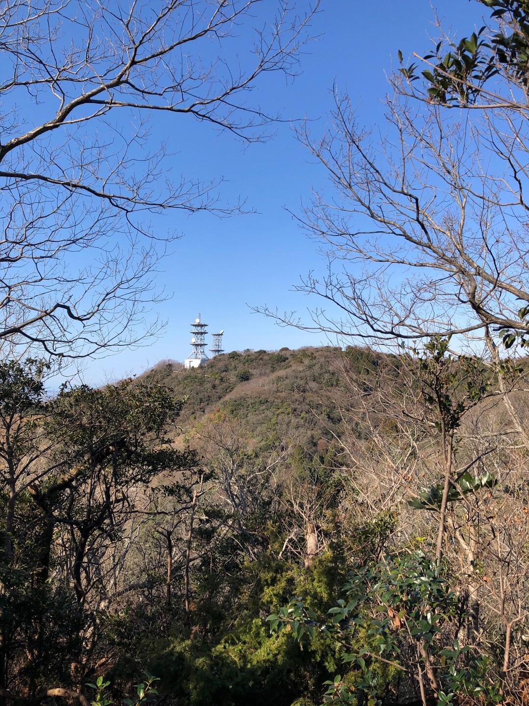 茶臼山（春の暖かさ） / Chayaさんの茶臼山・万灯山の活動データ | YAMAP / ヤマップ