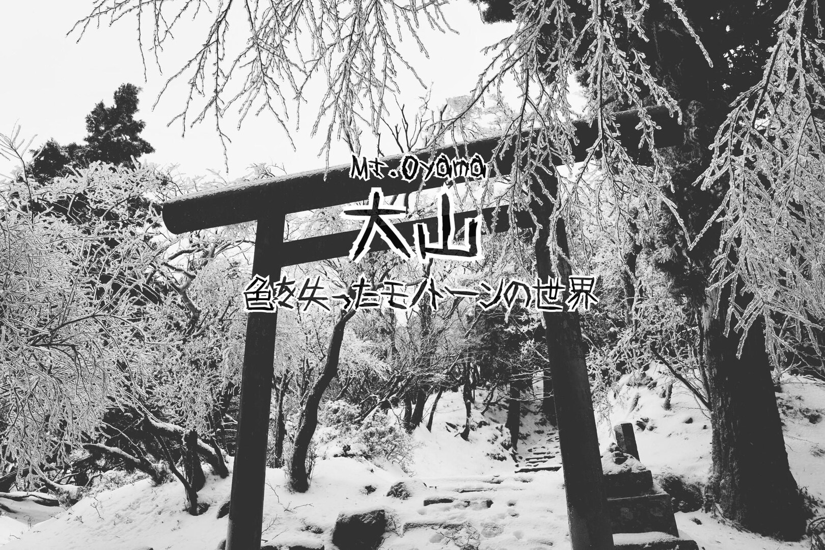 色を失ったモノトーンの大山 / Riot Kさんの大山の活動データ | YAMAP / ヤマップ