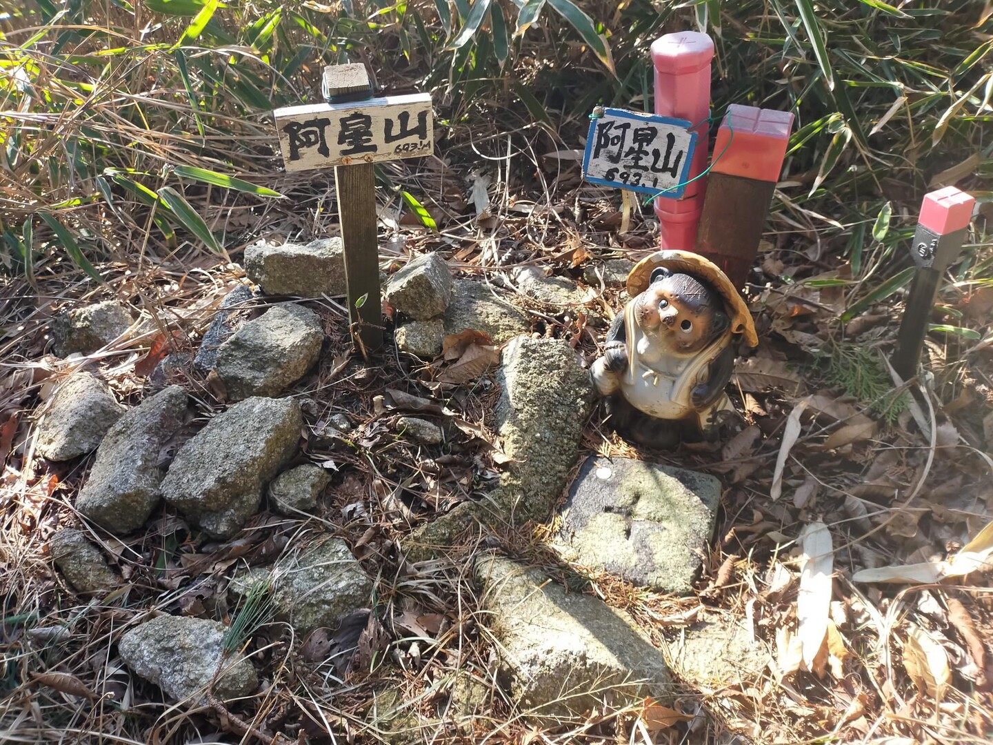 阿星山 / bunpakuさんの阿星山の活動データ | YAMAP / ヤマップ