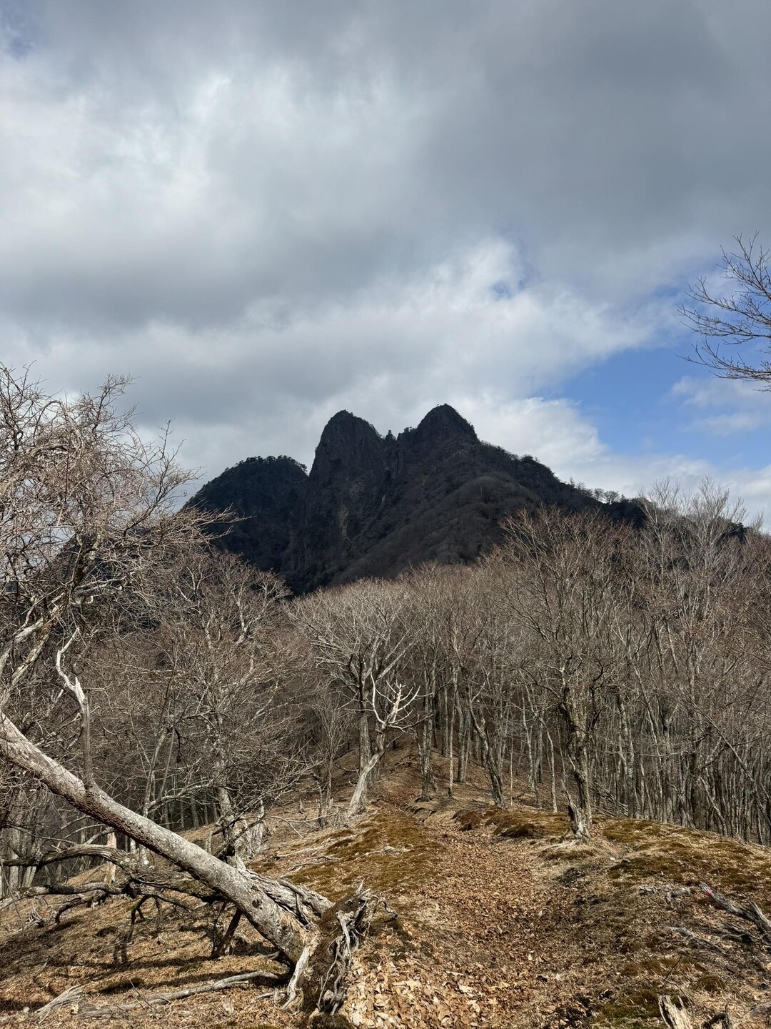 傾山 / kurominaさんの傾山の活動データ | YAMAP / ヤマップ