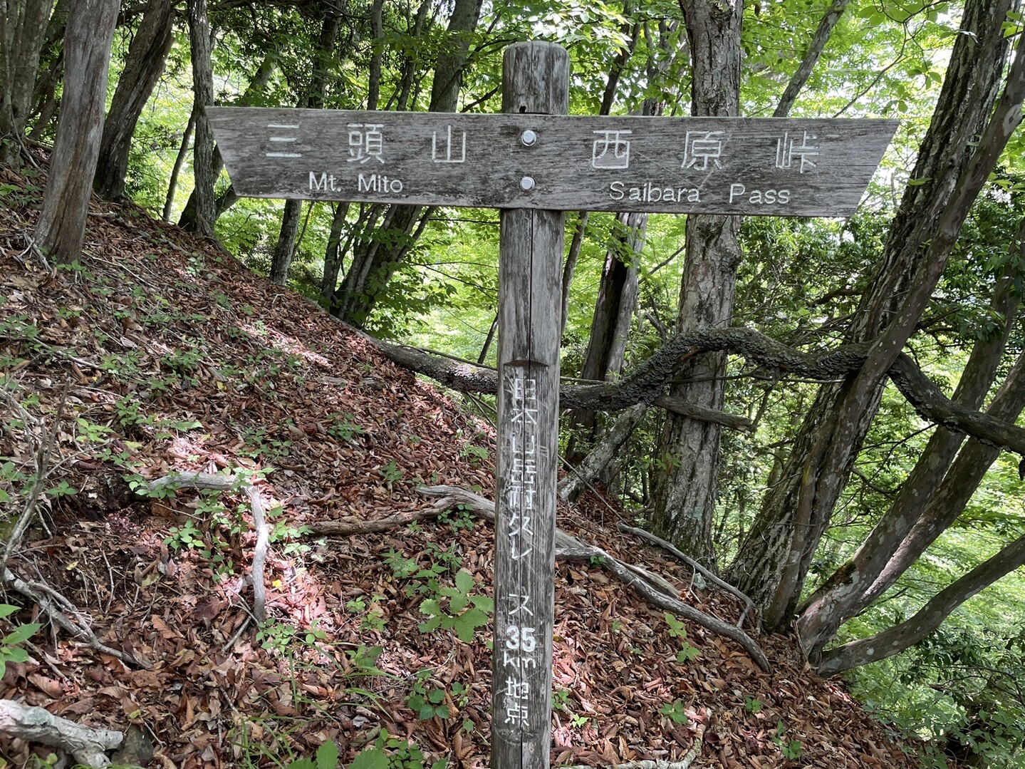 【熊に遭遇‼︎奥多摩縦走（後半）】都民の森〜三頭山〜御前山〜大岳山〜御嶽山〜日の出山〜武蔵五日市駅 三頭山・槇寄山・土俵岳の写真6枚目